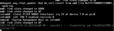 Boot Freezes On Both VMWARE Player And Virtual Box Issue Ravynsoft Ravynos GitHub