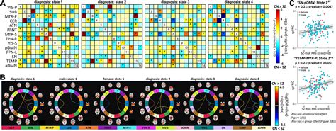 Spatial Dynamic Subspaces Encode Sex Specific Schizophrenia Disruptions In Transient Network