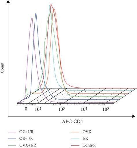 Infiltration Of T Lymphocyte Subsets In The Kidney Tissue Of Rats In