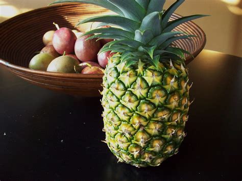 I Like Plants Tropical Fruits