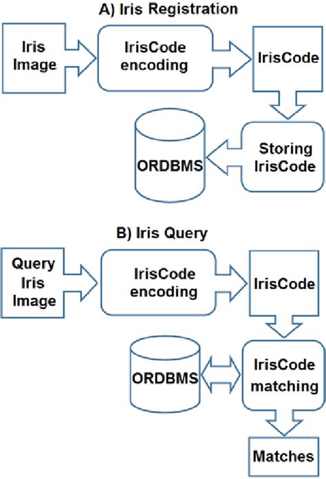 A Iris Registration Pipeline B Iris Query Pipeline Download