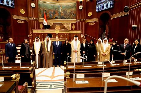 المستشار عبدالوهاب عبدالرازق يستقبل رئيس المجلس الوطني الاتحادي