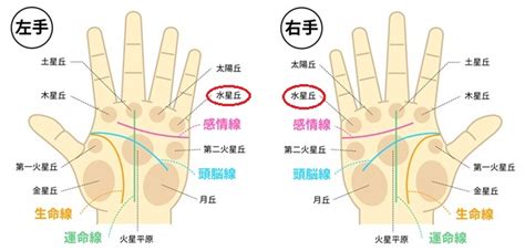スターシードの手相14選！手相でわかるスターシードの才能を生かすヒント
