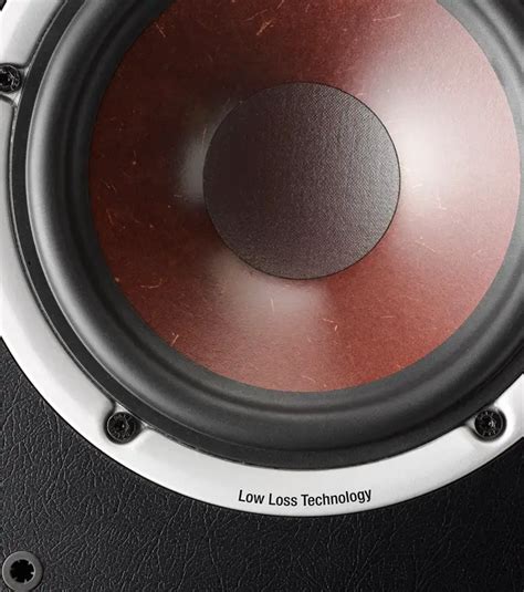 Dali Spektor 6 Review (Floorstanding Loudspeaker) – Home Media ...