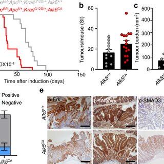 Epithelial cell intrinsic activation of TGFβ signalling is tolerated in Download Scientific