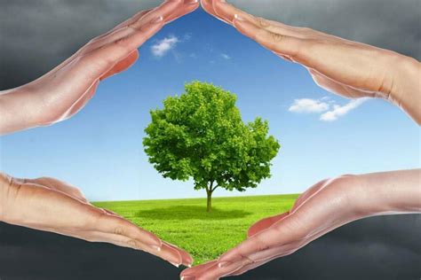 Soluciones Para La Contaminación Del Aire Medidas Y Consejos