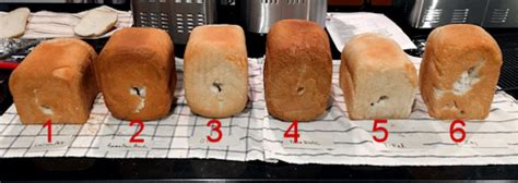 Bread Machine Paddle Tiplet