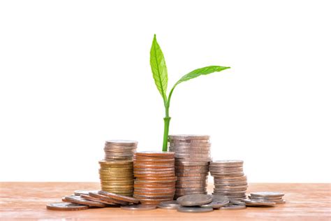 Planta Que Crece En Monedas De Economías Concepto De Ahorrar Dinero