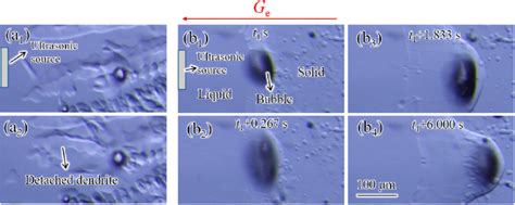 Process Of Dendrite Detachment A And The Melting Of The Download