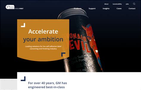 umbraco development support and optimization low cost high service