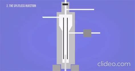 Salah Hegazi On Linkedin Split Splitless Injector In Gc