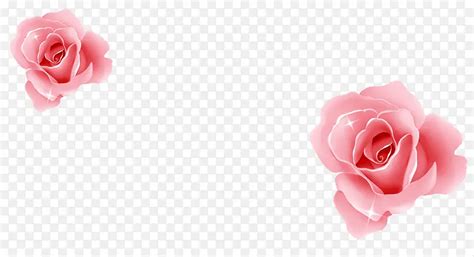 温馨花朵png图片素材下载图片编号qknnoray 免抠素材网