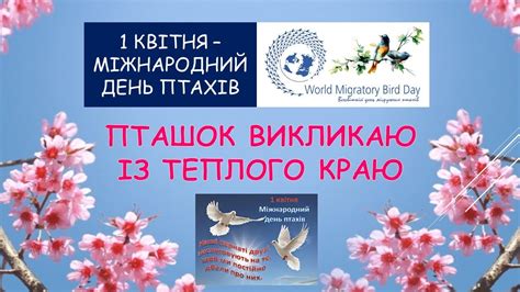 Відео презентація 1 квітня Міжнародний День Птахів Youtube