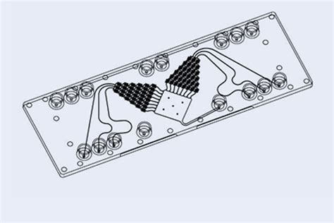 Gradient Generator Chip 1 Labsmith