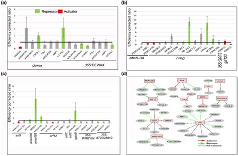 validation of protein‐dna interaction to construct subnetworks