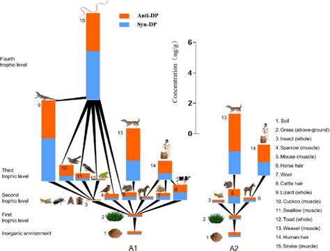 Dechlorane Plus Dp Concentrations In The Samples From Areas A1 And A2