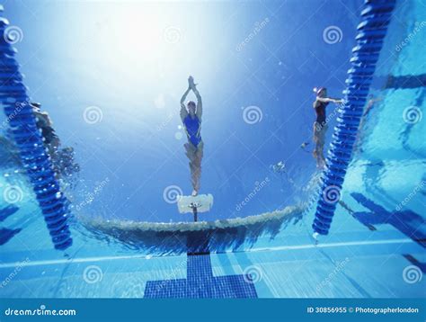 View Of Female Swimmer Diving In Swimming Pool Stock Image Image Of