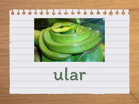 Teka Teki Siapa Saya Bersama Ticer Imtiaz Flash Cards