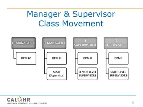 Information Technology Class Consolidation Calhr Website