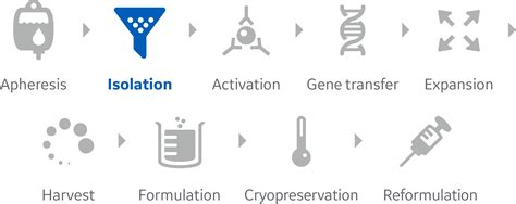 Cell Isolation Cytiva
