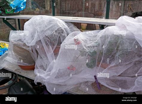 Frost Protection Hi Res Stock Photography And Images Alamy