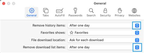 8 Methods How To Fix Clear Safari History Greyed Out”