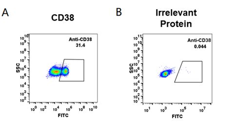Anti Cd38 Daratumumab Biosimilar Mab 专注肿瘤免疫
