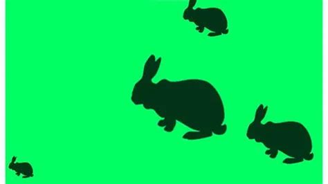 Top 5 De Los Retos Visuales En Internet Descubrir Errores Encontrar