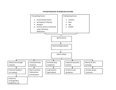 Pathophysiology Of Asthma Schematic Diagram 7 Schematic Rep