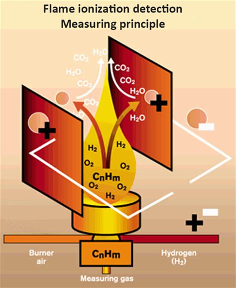 How Does A Flame Ionization Detector Work At Gilberto Morales Blog