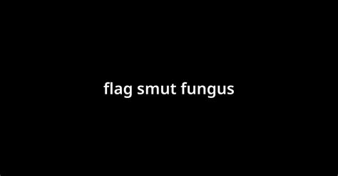 「フラグ・スマット・ファンガスflag Smut Fungus」とは？ カタカナ語の意味・発音・類語辞典