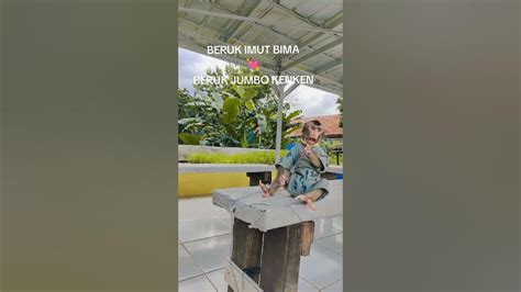 Beruk Imut And Beruk Jumbo Duetberuklucufunnyanimalsviralvideo