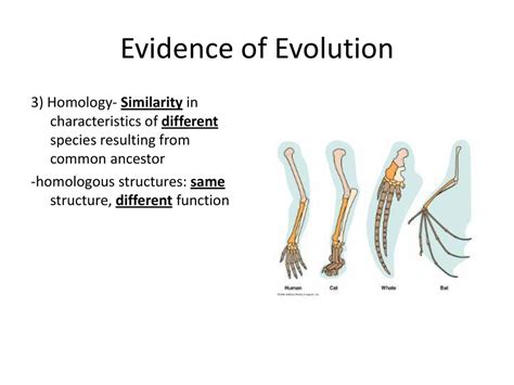 Evolution And Natural Selection Ppt Download