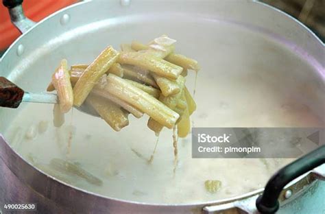 Batang Teratai Dengan Makarel Kukus Dalam Sup Kelapa Foto Stok Unduh