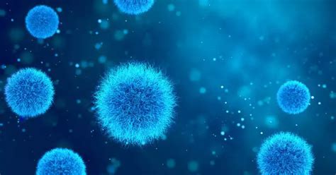 The Relationship Of Relative Humidity Health Tips