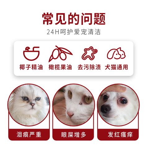 泪目对策宠物湿巾kojima猫咪狗狗眼部泪痕湿巾擦眼睛眼屎清洁用品 虎窝淘