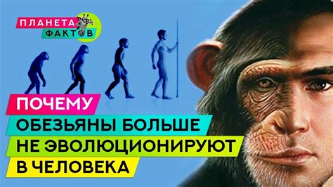 Почему обезьяны больше не эволюционируют в человека? - YouTube