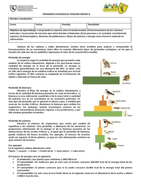 Piramides Ecológicas Pdf