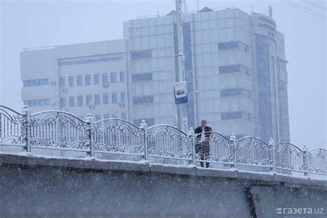 Фото Волшебная метель в Ташкенте Новости Узбекистана Gazeta