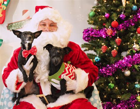 Angela Ann Daus On Behance