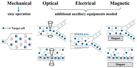 Molecules Free Full Text Microfluidic Based Single Cell Study