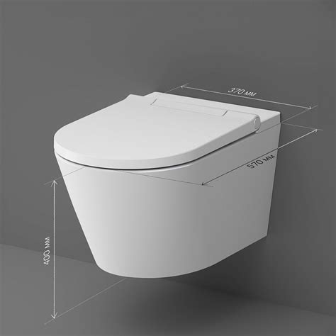 Унитаз-биде подвесной AM.PM Inspire CCC501700SC безободковый с ...