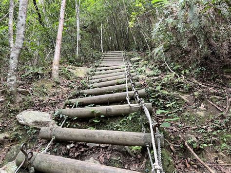 霞喀羅古道兩天一夜養老白石駐在所來回台灣第一條歷史國家步道擁有百年遺址及部落記憶 健行筆記