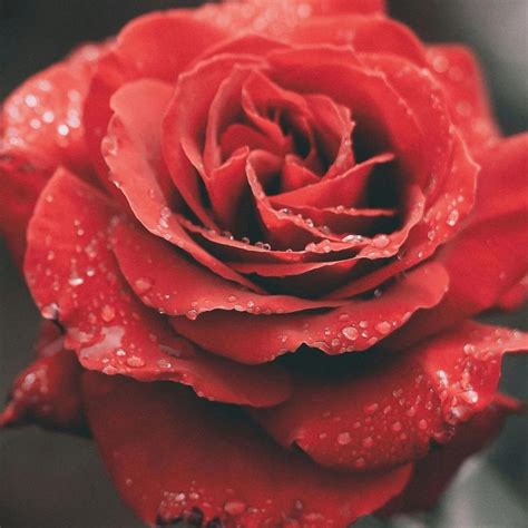 Sex Should Be Selfless Core Christianity