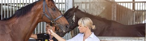 Women Of The Racing Industry In Conversation Jane Gollan Brisbane Racing Club Brisbane