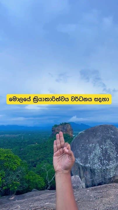 මොලයේ ක්‍රියාකාරිත්වය වර්ධනයට Youtube