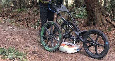 Tree Root Mapping Projects In British Columbia Geoscan