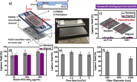 A Schematic Representation And B Photograph Of The Microfluidic Device Download Scientific