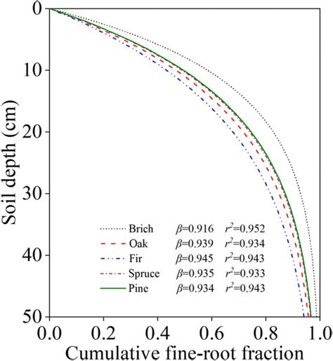 Models Of Vertical Fine Root Distribution For Five Subalpine Forest Download Scientific Diagram