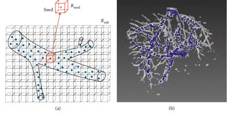 figure 1 from an improved fuzzy connectedness method for automatic